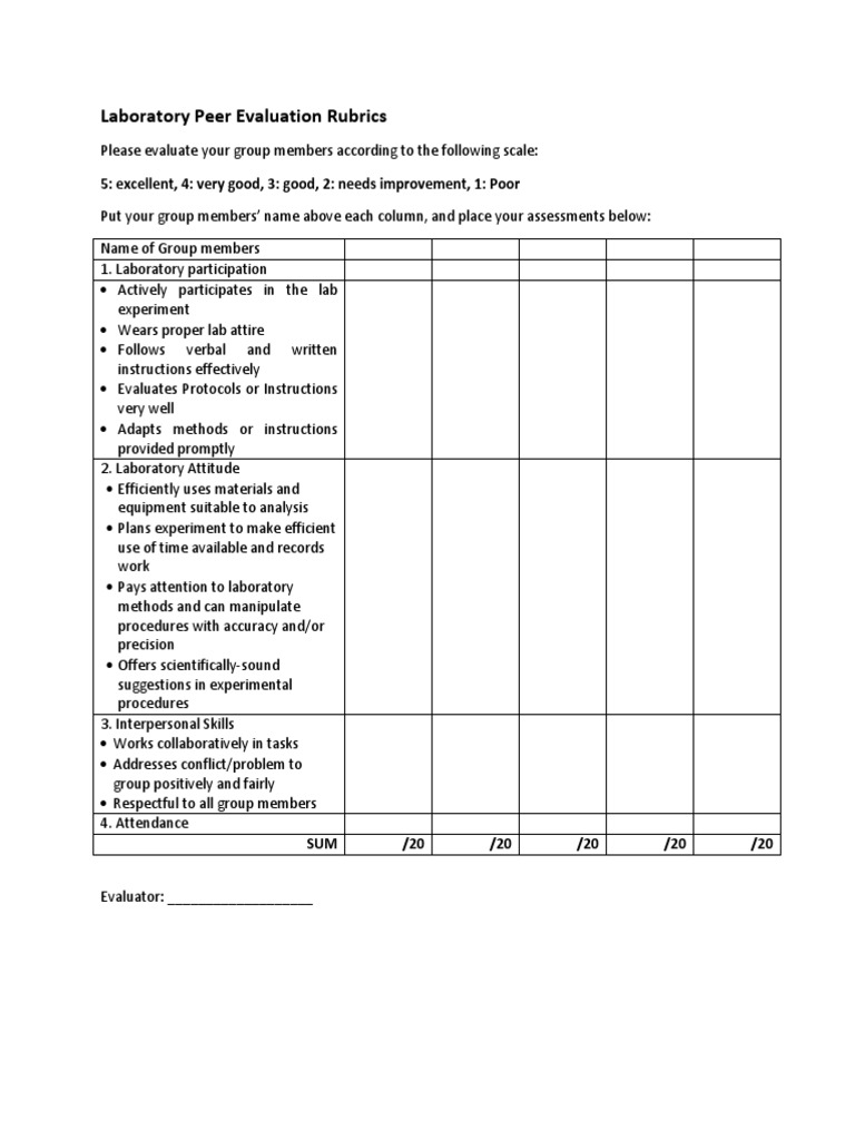 Peer Evaluation Rubric | PDF | Career & Growth