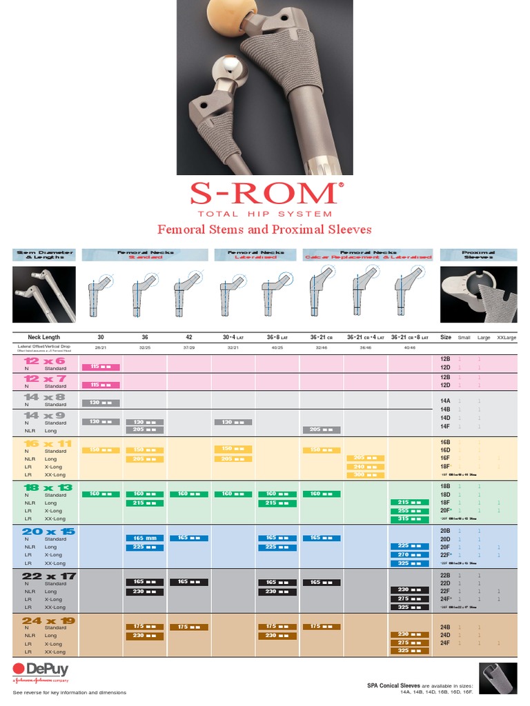 S-ROM Stem System | PDF | Nature
