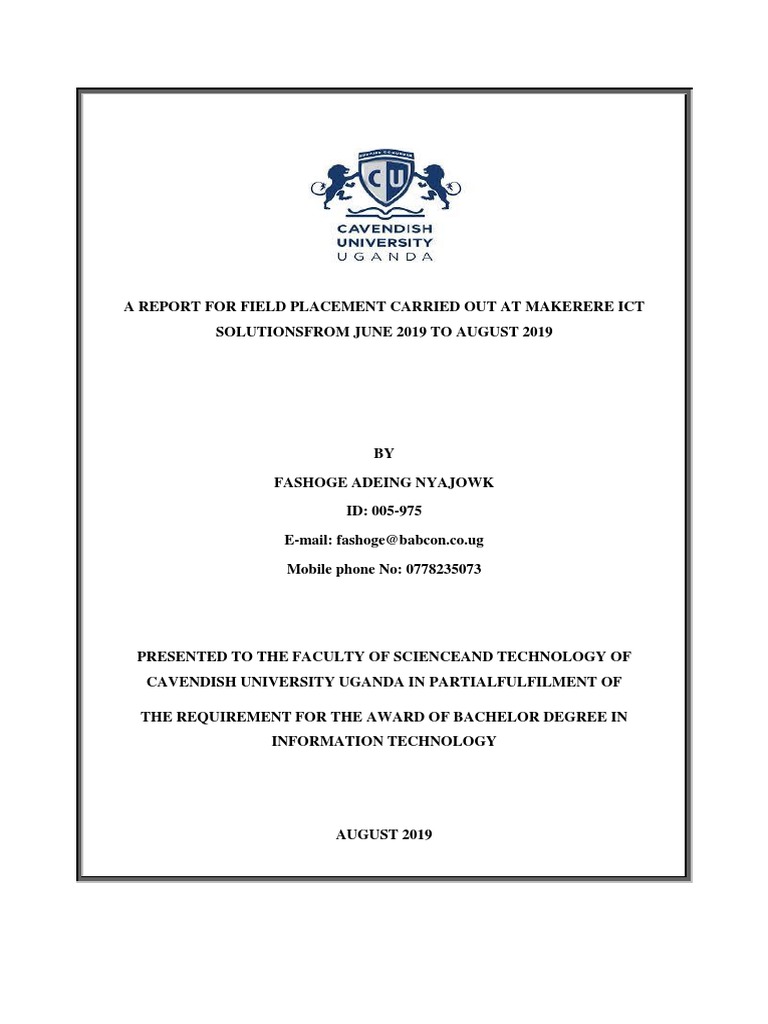 Internship | PDF | Software Development | Information Technology