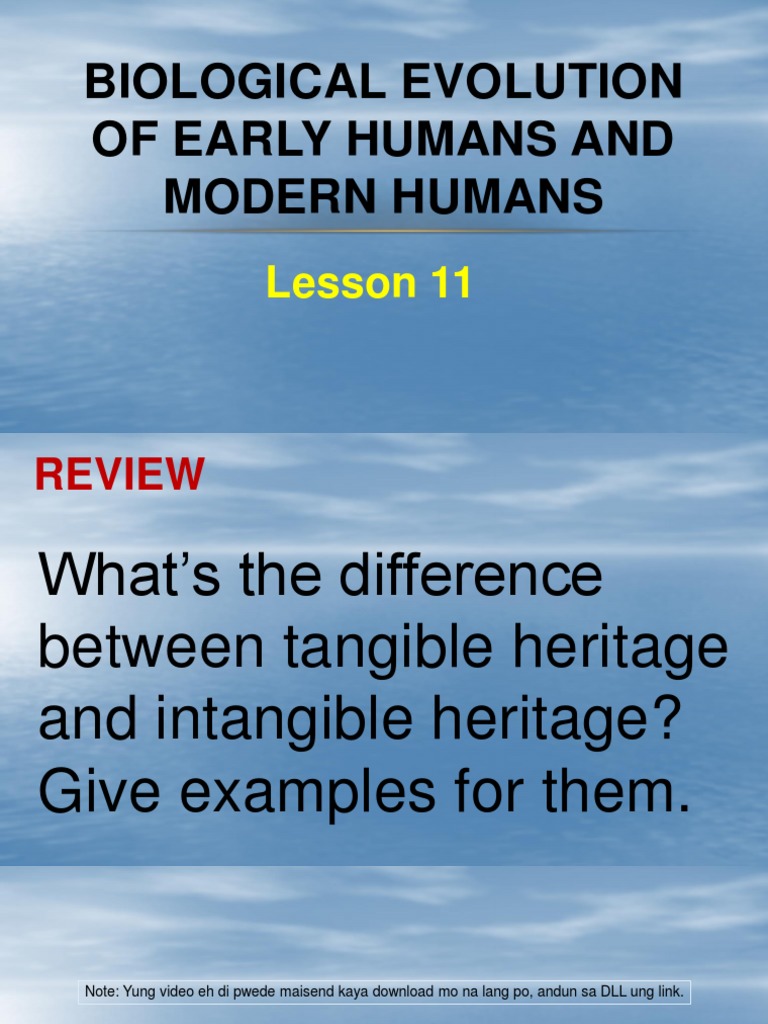 Biological Evolution of Early Humans and Modern Humans: Lesson 11 | PDF ...