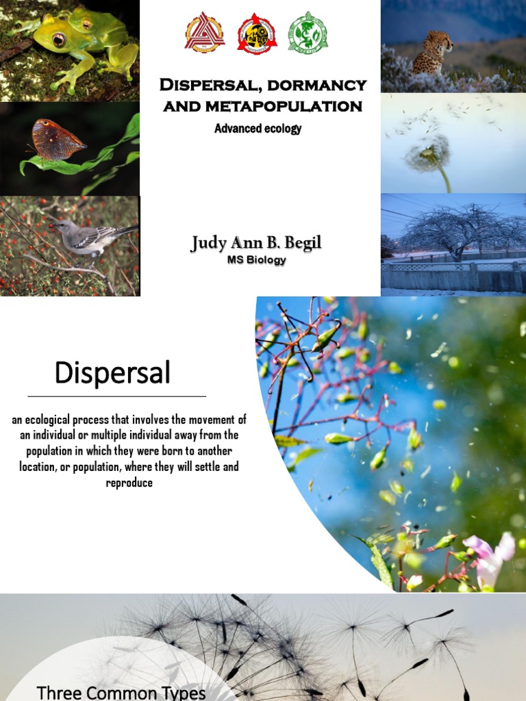 Advanced Ecology Report | PDF | Biological Dispersal | Organisms