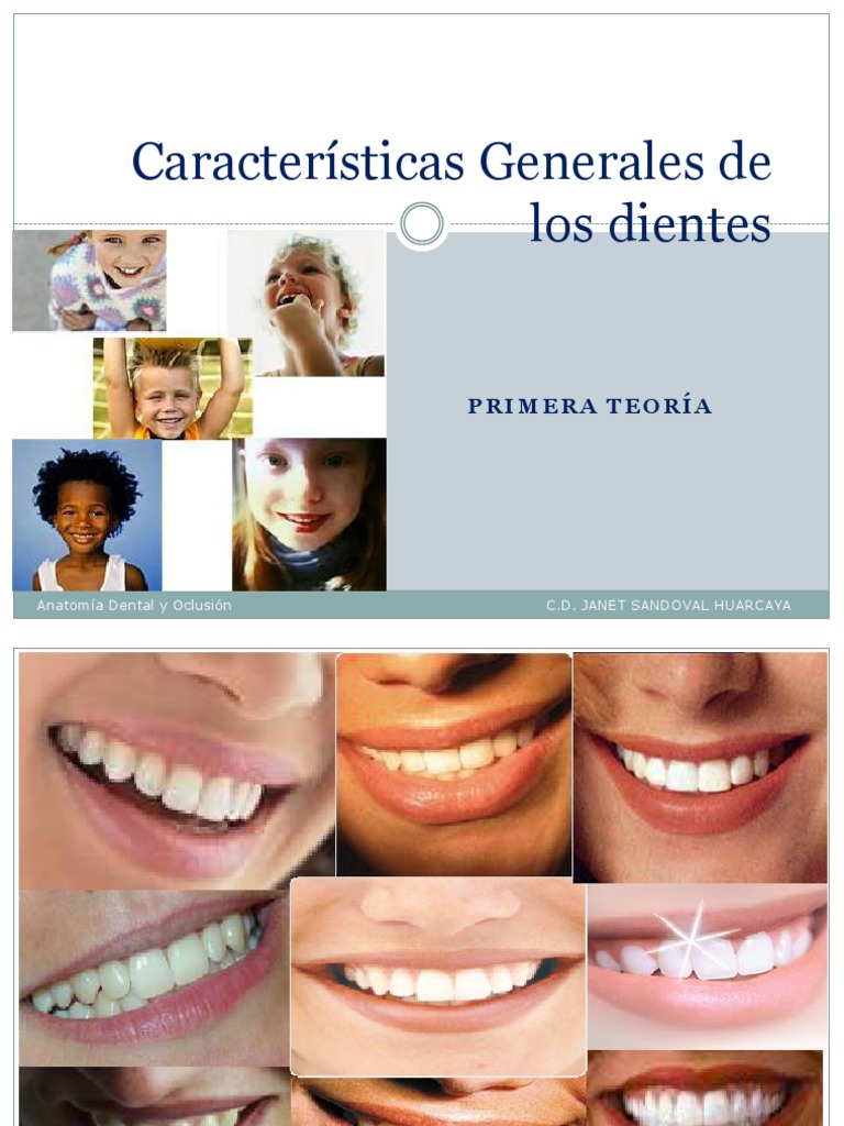 Estructura de Los Dientes | PDF | Odontología | Diente