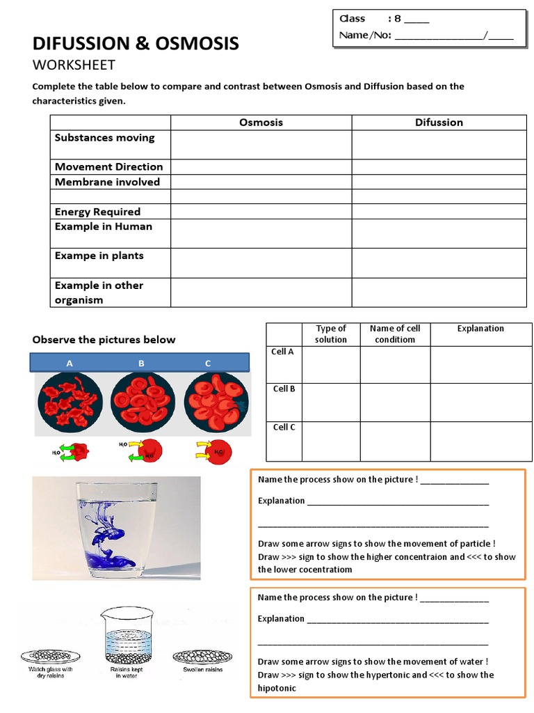 Comparing and Contrasting Osmosis and Diffusion Through Worksheet ...