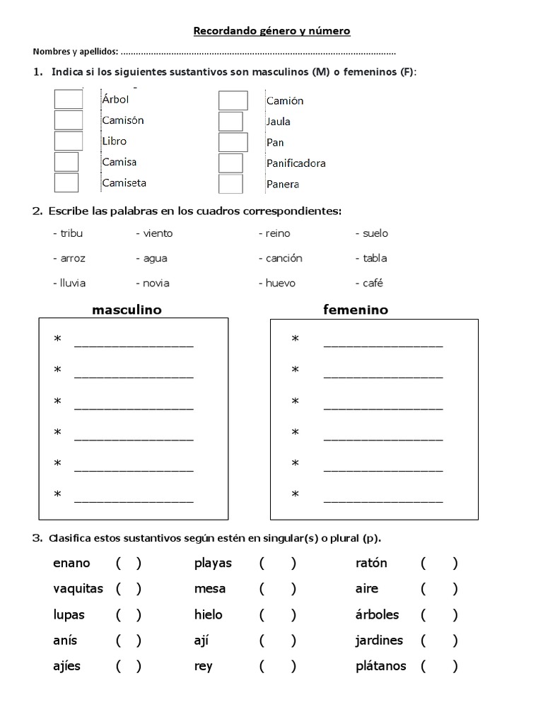 Genero y Numero Actividades | PDF