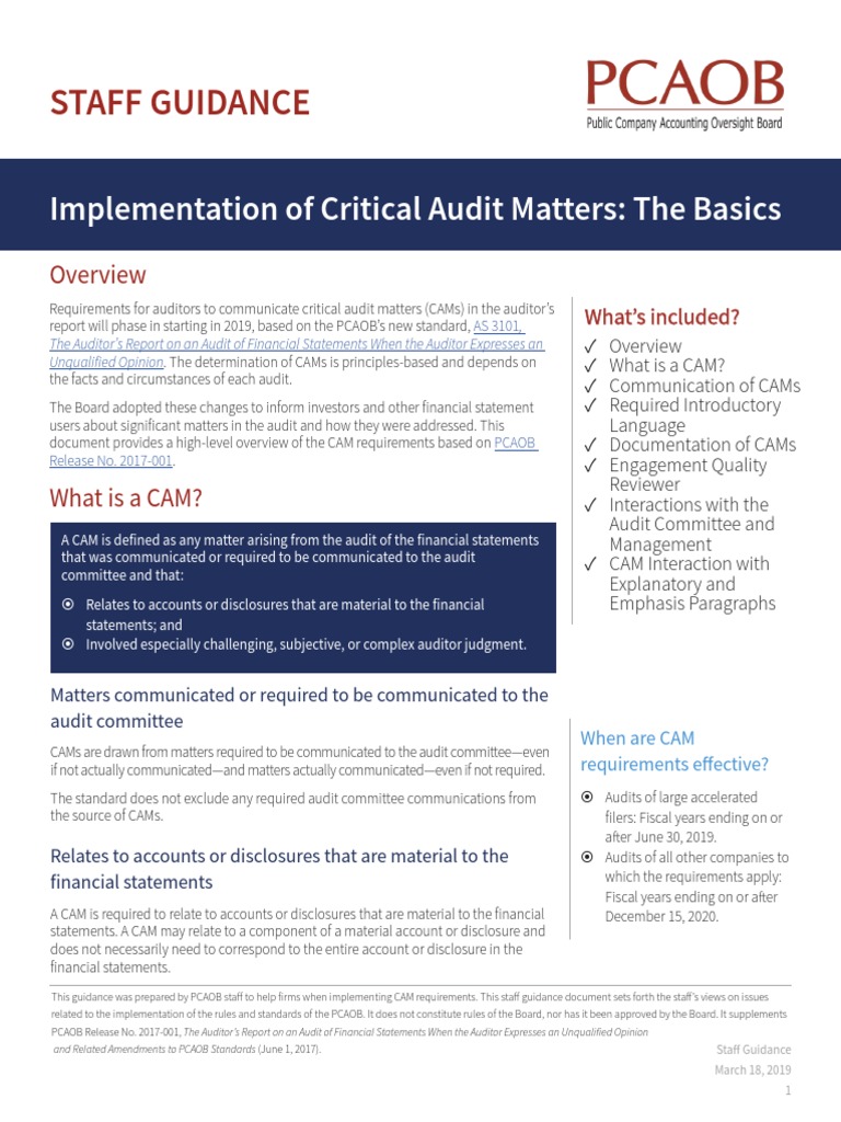 Staff Guidance: Implementation of Critical Audit Matters: The Basics ...