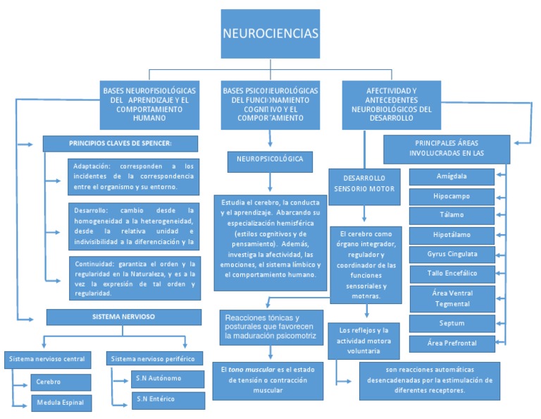Mapa Conceptual neurociencias | Cerebro | Las emociones