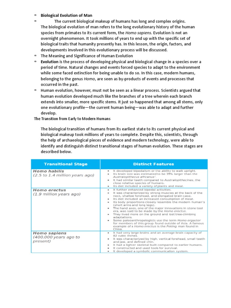 Biological Evolution of Man | PDF | Stone Age | Human Evolution