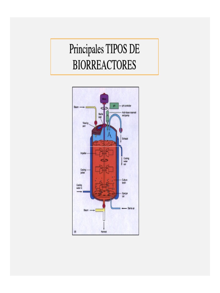 Clase_11_-_Biorreactores_2019 | Química | Ciencias fisicas