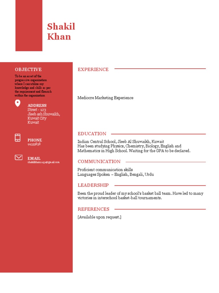 Shakil Khan's Professional Profile | PDF