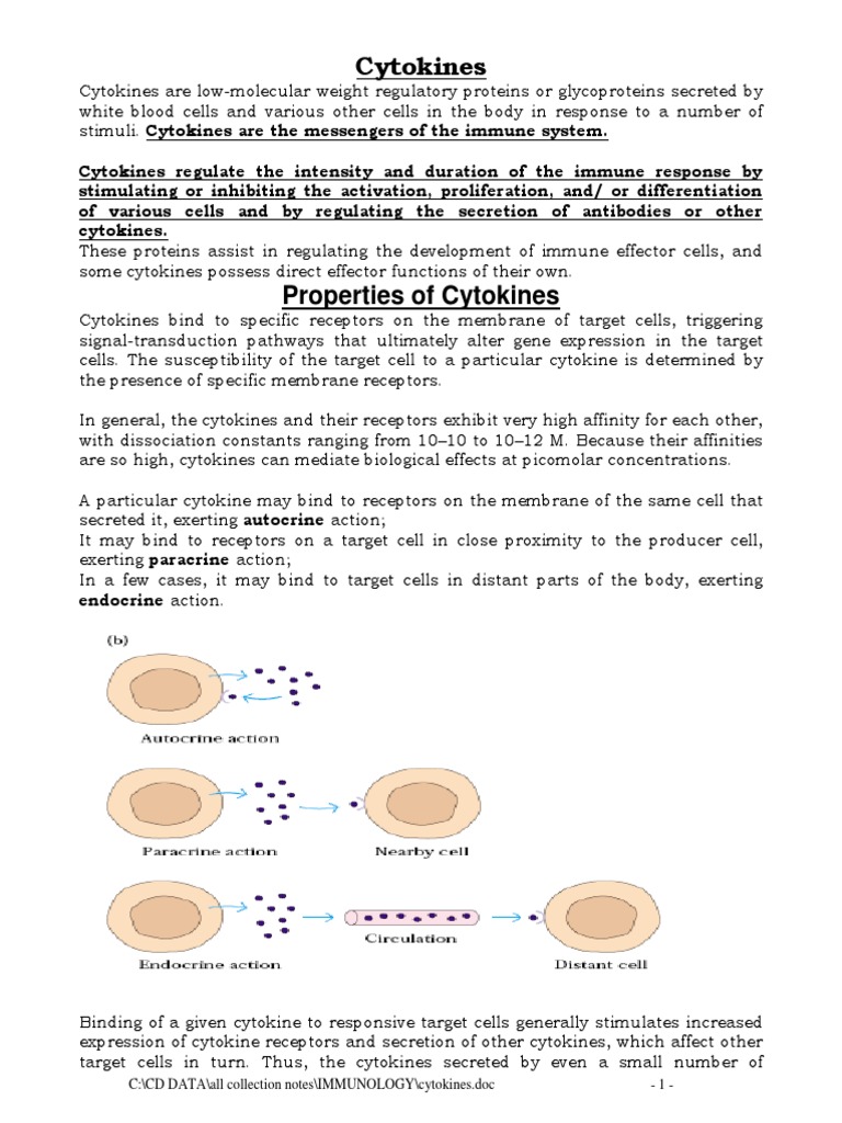 Cytokines: C:/CD DATA/all Collection notes/IMMUNOLOGY/cytokines - Doc ...