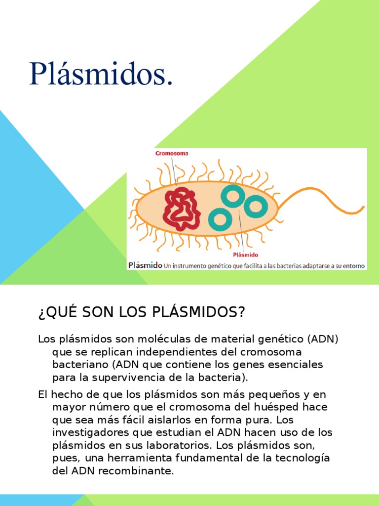 PLASMIDOS | PDF | Plásmido | Replicación De Adn