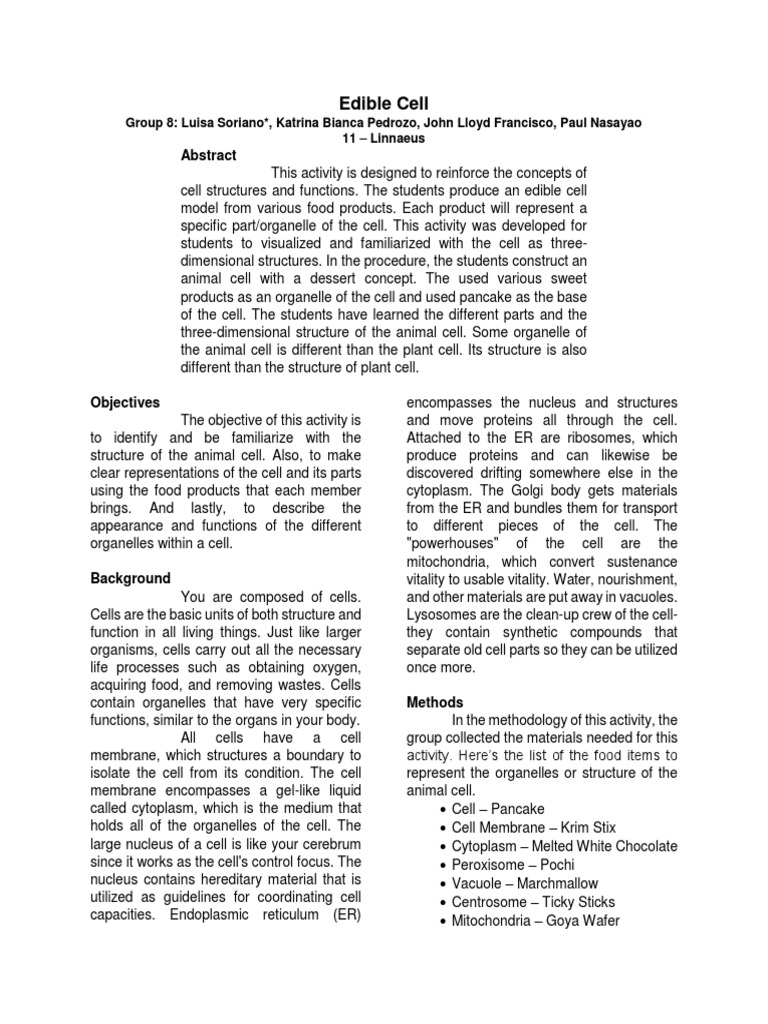 Edible Animal Cell Model Project | PDF | Cytoplasm | Cell (Biology)