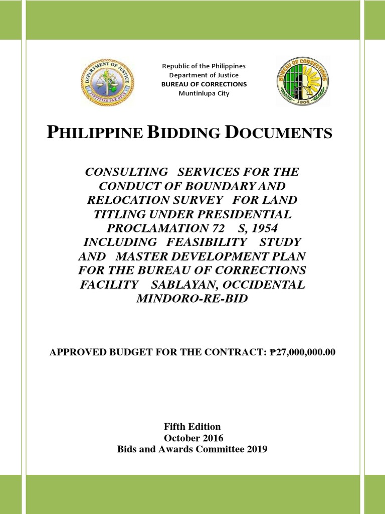 Consulting Services. | PDF | Joint Venture | Public–Private Partnership