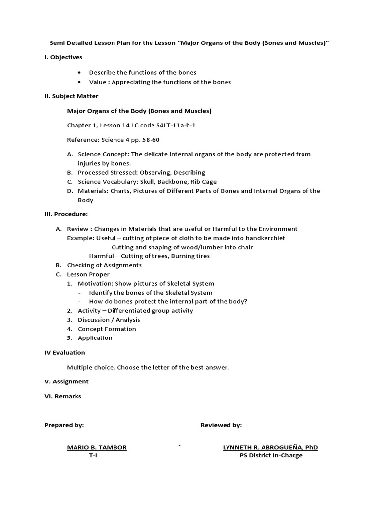Semi Detailed Lesson Plan For The Lesson | PDF