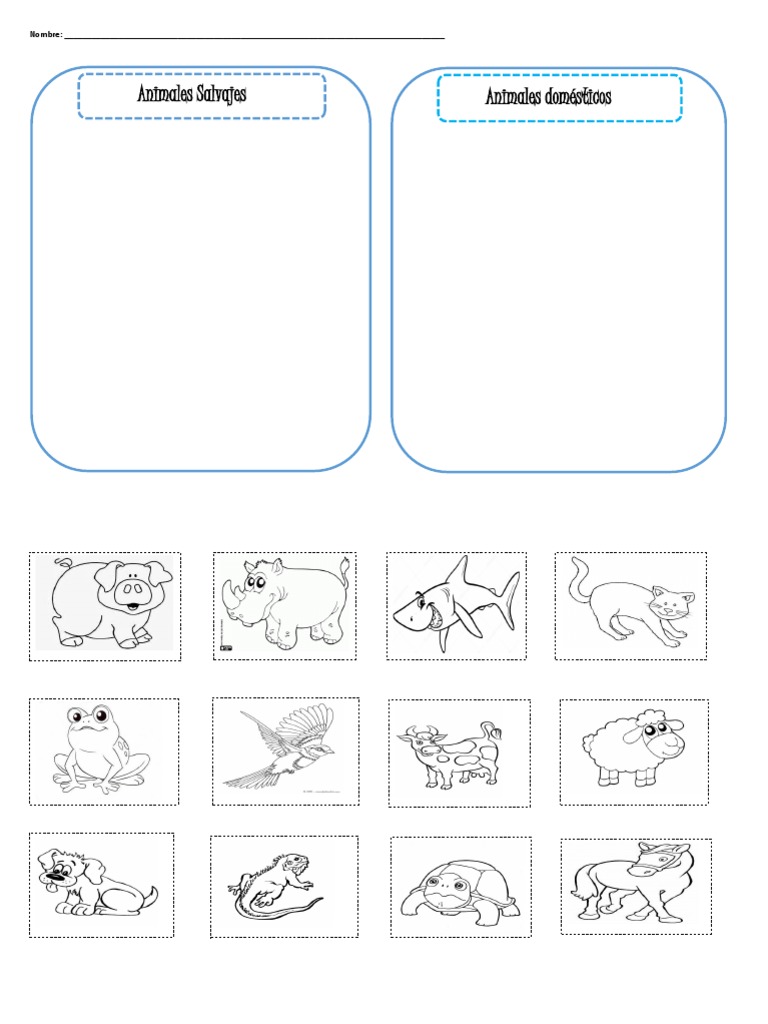 Animales Salvajes Animales domésticos