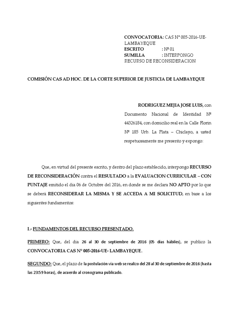 Recurso de Reconsideracion | PDF | Gobierno