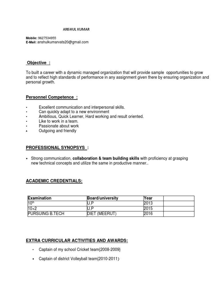 Anshul Kumar's Professional Resume | PDF