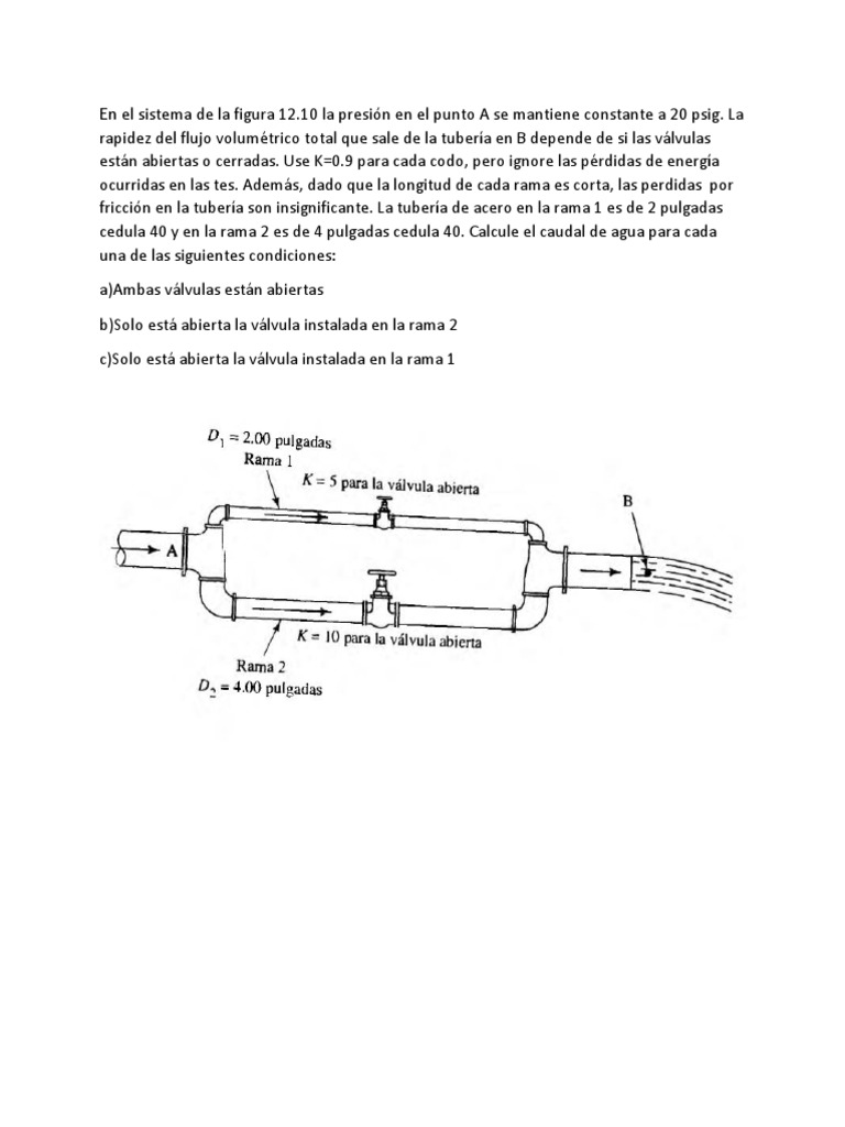Ejercicio Dos Rama | PDF