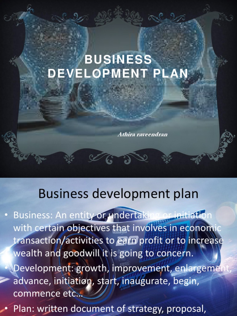 Business Development Plan Overview | PDF