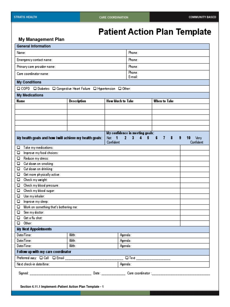 4 Patient Action Plan Template | PDF | Breathing | Cough