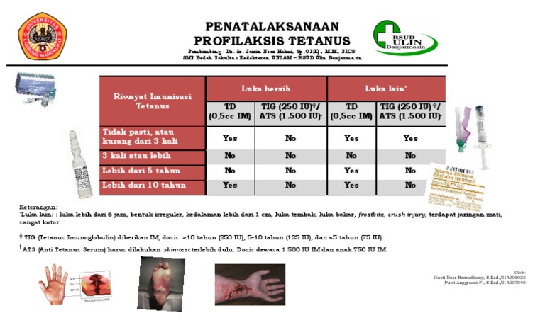 Profilaksis Tetanus | PDF