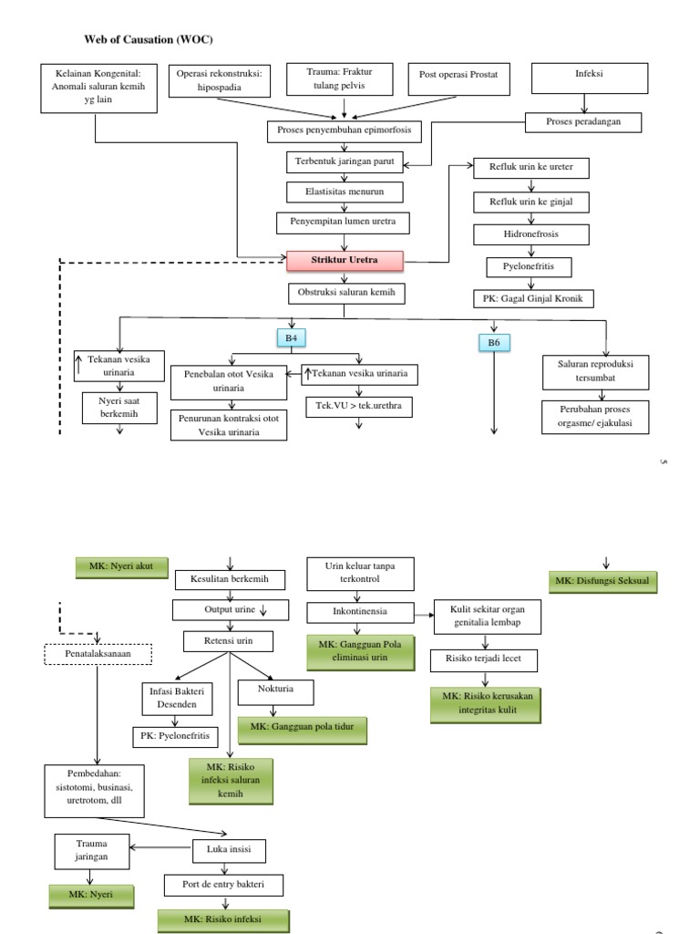 WOC Striktur Uretra | PDF