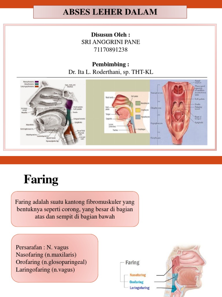 Abses Leher Dalam | PDF