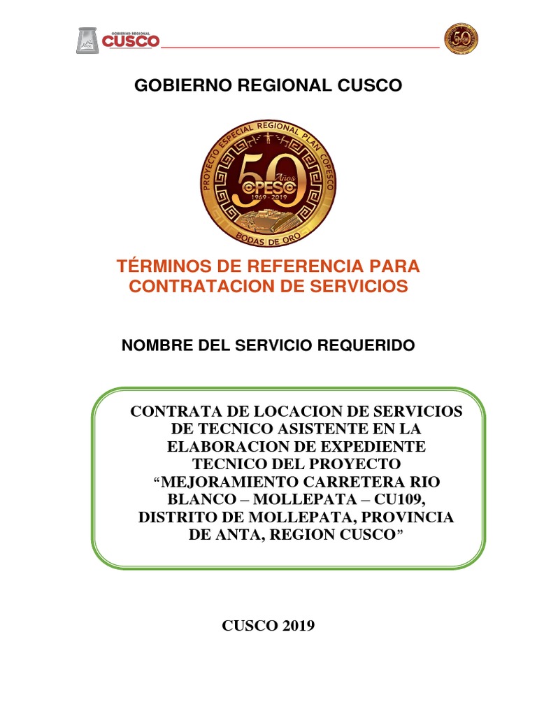 TDR Tecnicos Asistente | PDF | Presupuesto | Gobierno