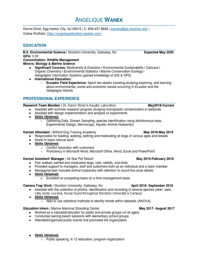 Resume Final2 | PDF | Geographic Information System | Natural Environment