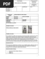 Ficha Tecnica de Caldera | PDF | Tubería (transporte de fluidos) | Caldera