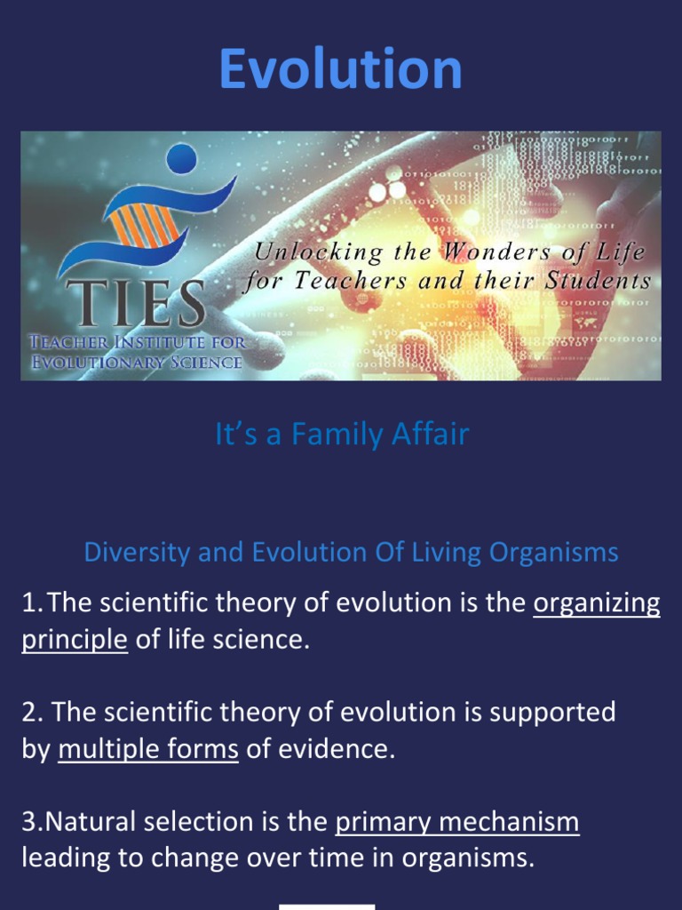 Understanding Evolution and Its Evidence | PDF | Fossil | Evolution