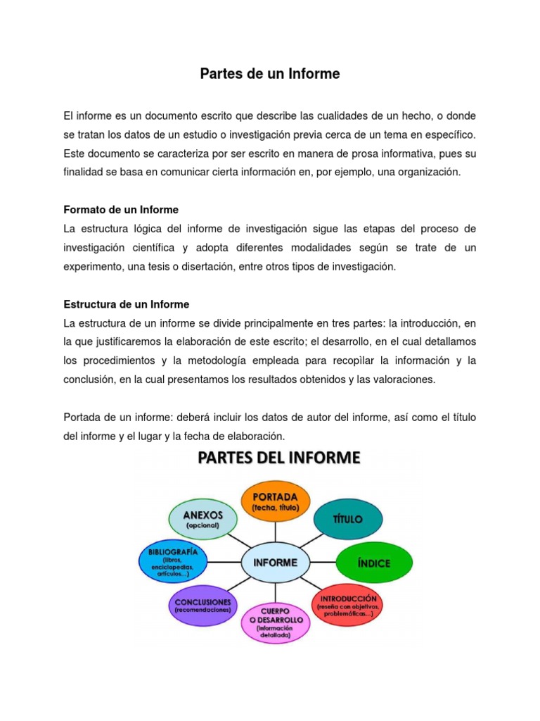Partes de Un Informe