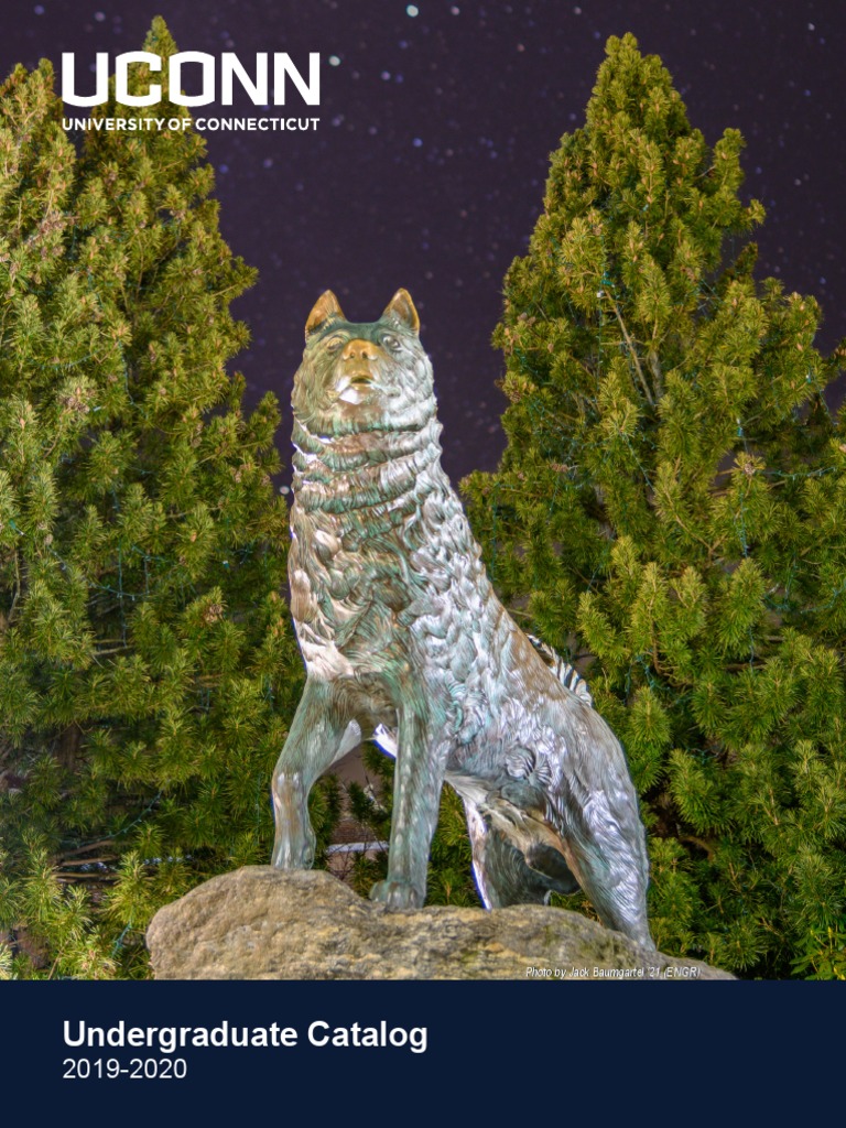 2019 20 UGRD Catalog | PDF | University Of Connecticut | University And ...