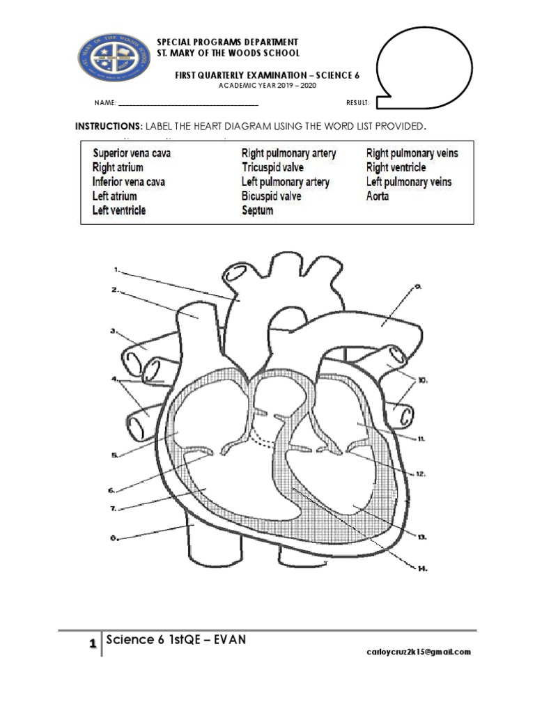 Instructions: Label The Heart Diagram Using The Word List Provided ...