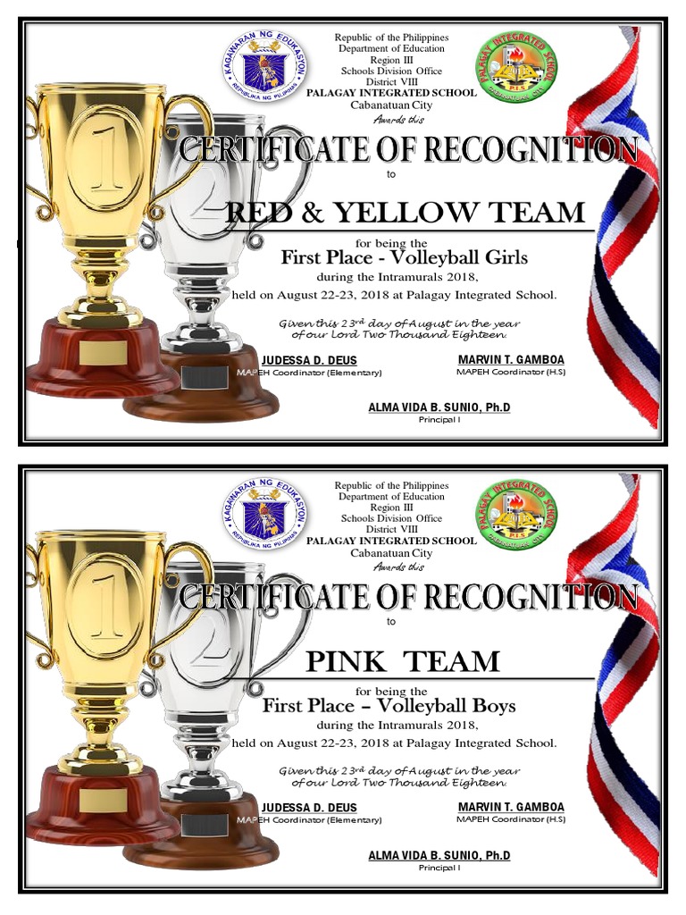 Certificate Intrams 2018