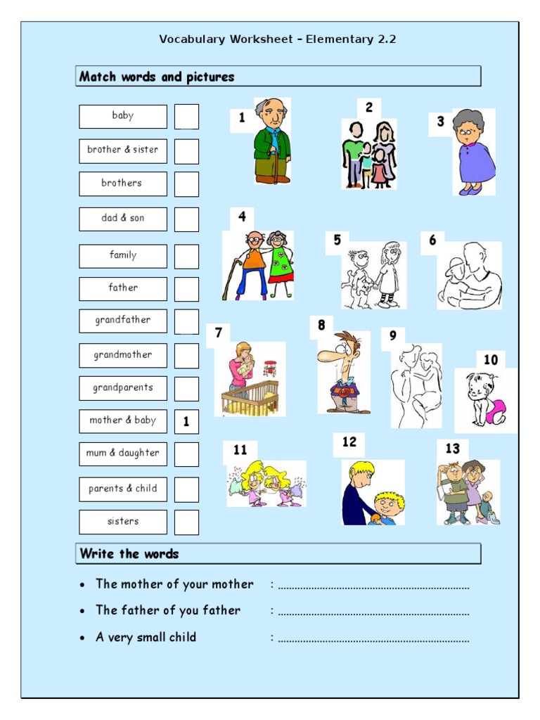 Family Vocabulary Matching Worksheet | PDF | Cultural Anthropology | Ageing