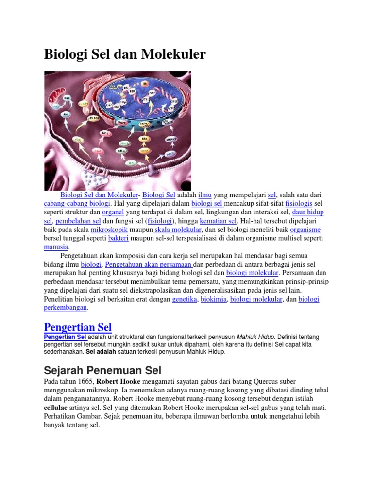 Biologi Sel Dan Molekuler | PDF