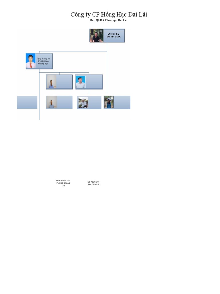 3. Sơ Đồ Ban Điều Hành Ban QLDA Đại Lải | PDF