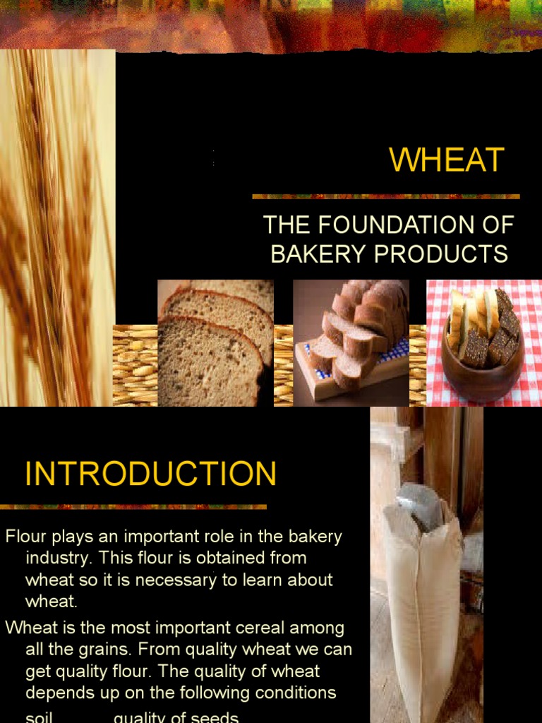Wheat Varieties and Milling Explained | PDF | Flour | Breads