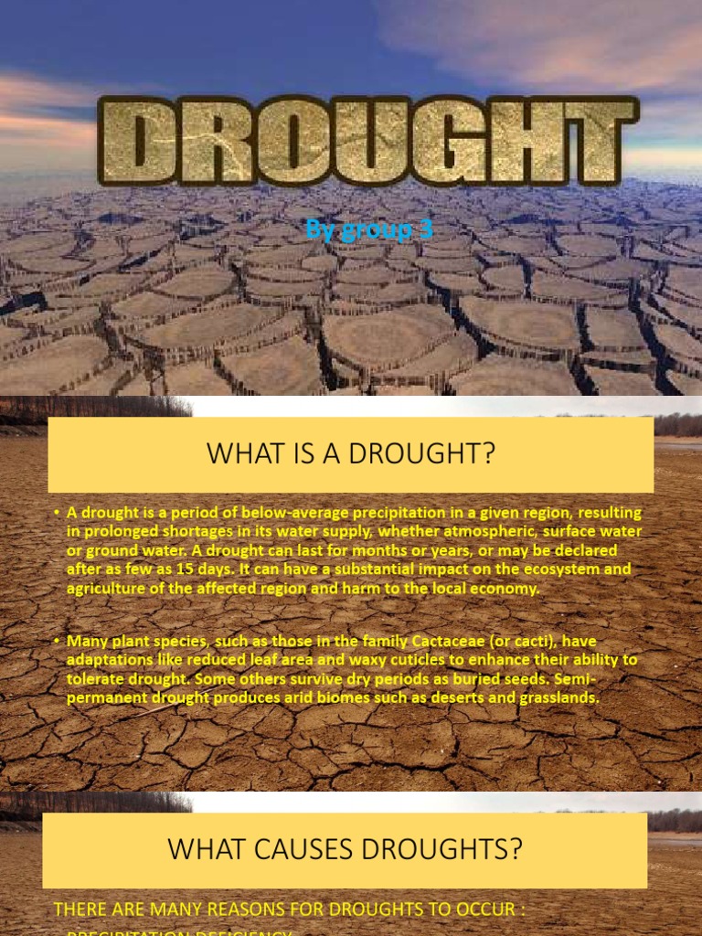 The Drought | PDF | Drought | Precipitation