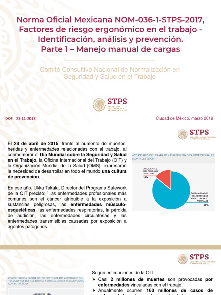 Nom 036 1 STPS 2018 | Factores humanos y ergonomía | Salud pública