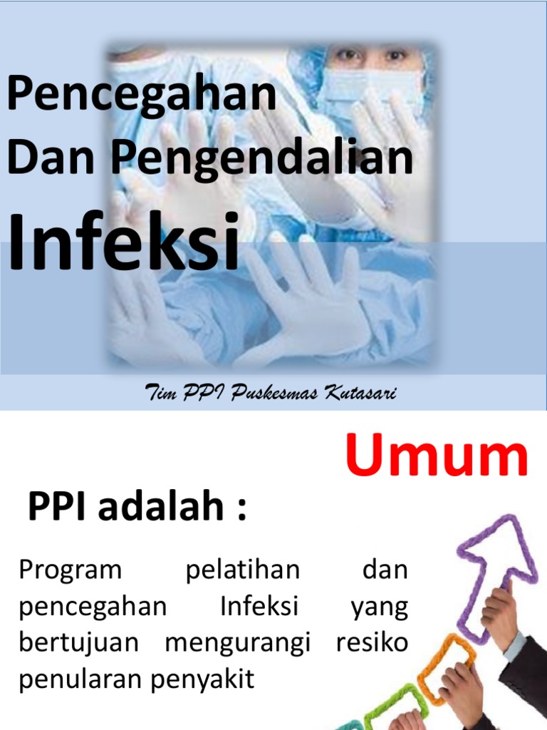 Presentasi Ppi | PDF