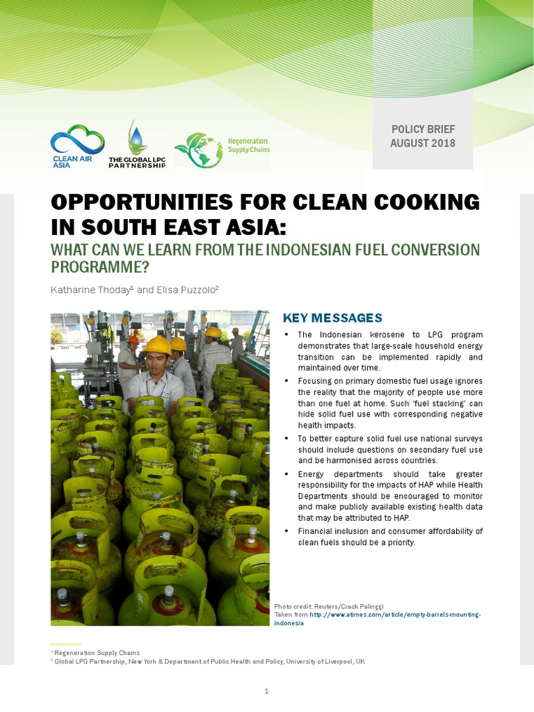 Opportunities For Clean Cooking in South East Asia: What Can We Learn ...