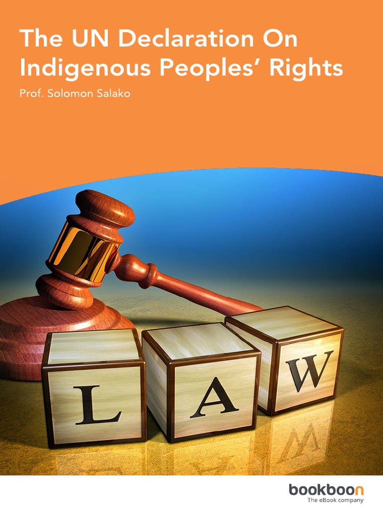 The UN Declaration On Indigenous Peoples' Rights PDF | PDF ...