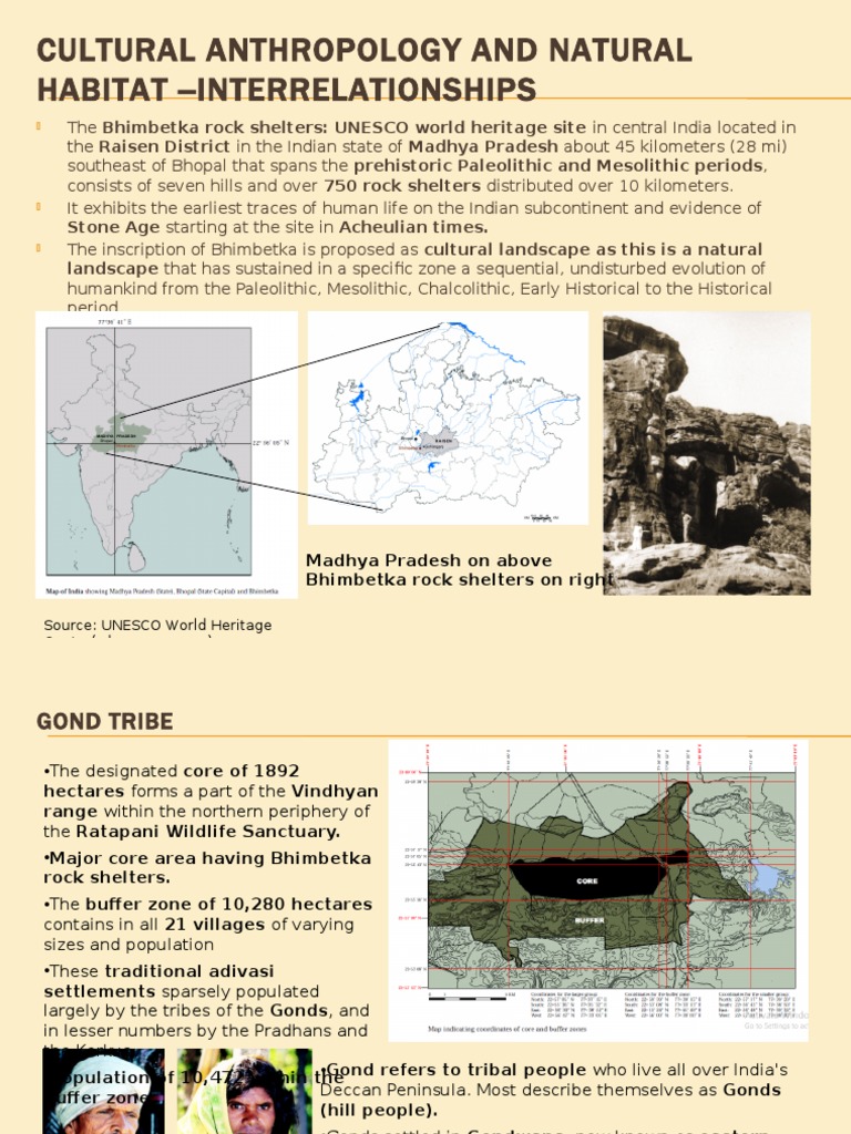 Cultural Anthropology - Gond Tribe | PDF | Nature
