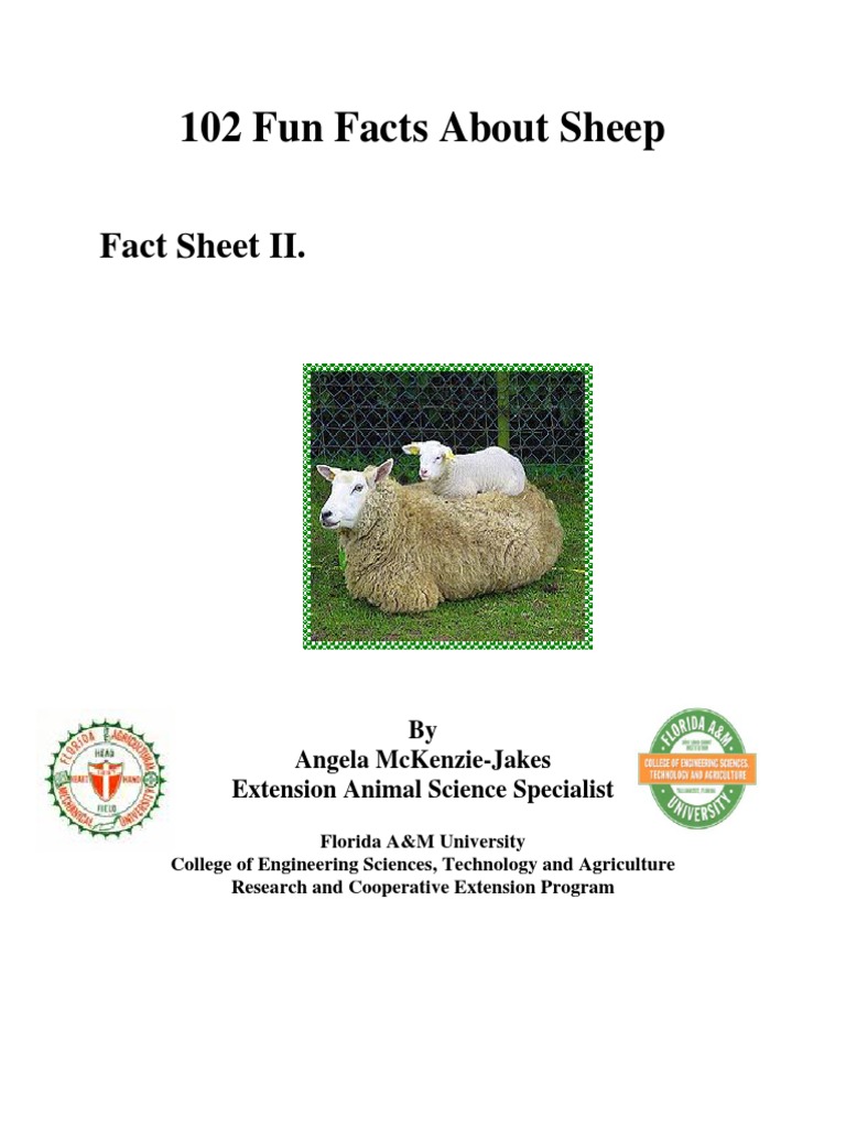 Sheep Facts PDF | PDF | Sheep | Goat