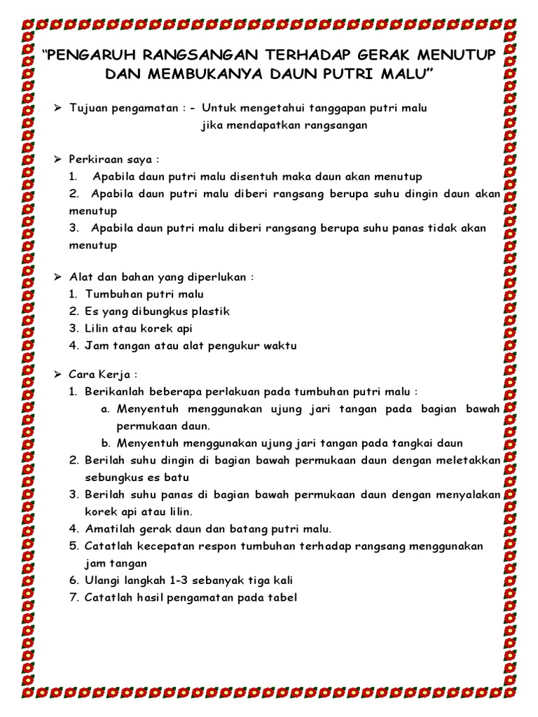 Laporan Hasil Pengamatan Putri Malu | PDF
