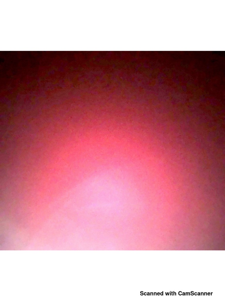 Red CloseUp Art | PDF