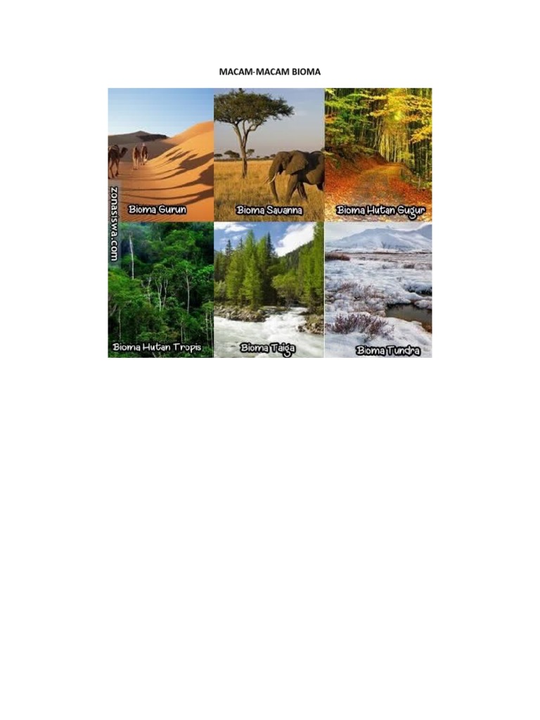 Macam Bioma | PDF
