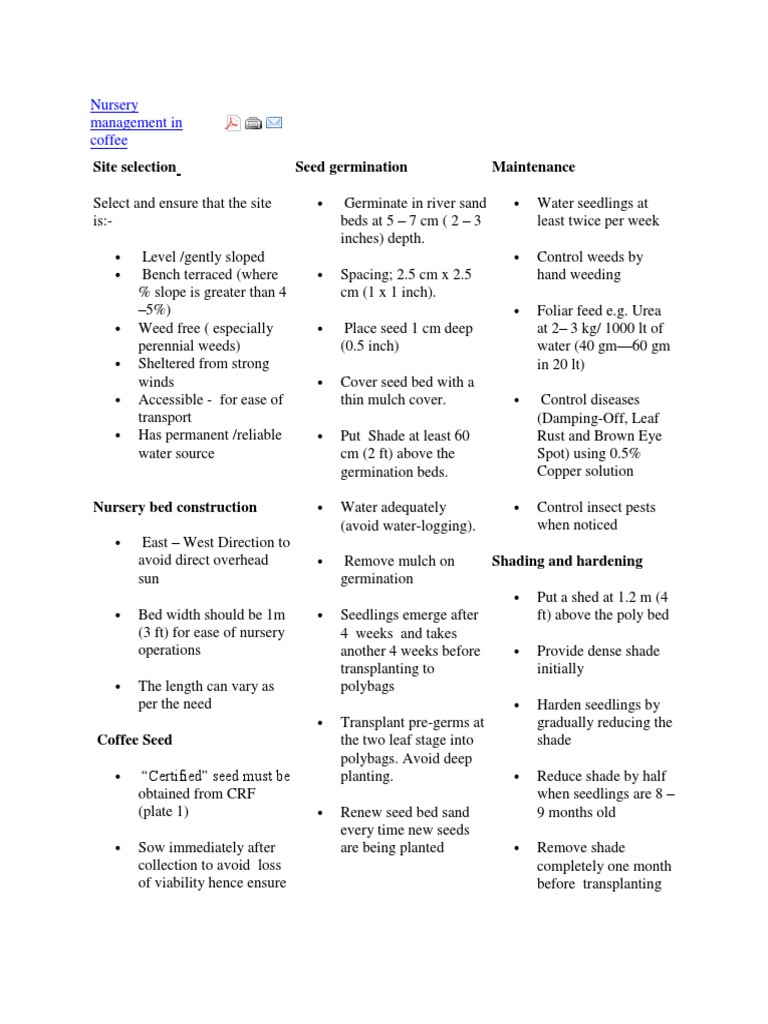 Guidelines for Coffee Nursery Management: Site Selection, Seed ...